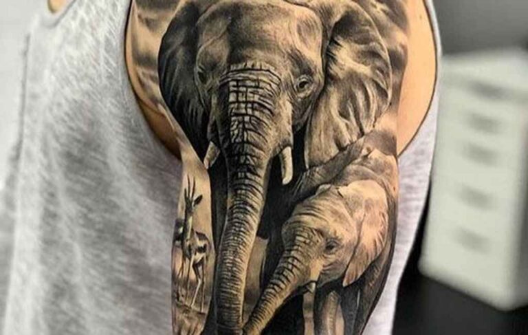 Veja 5 tatuagem de bichos que dão sorte e seus significados – Tattoo Blog